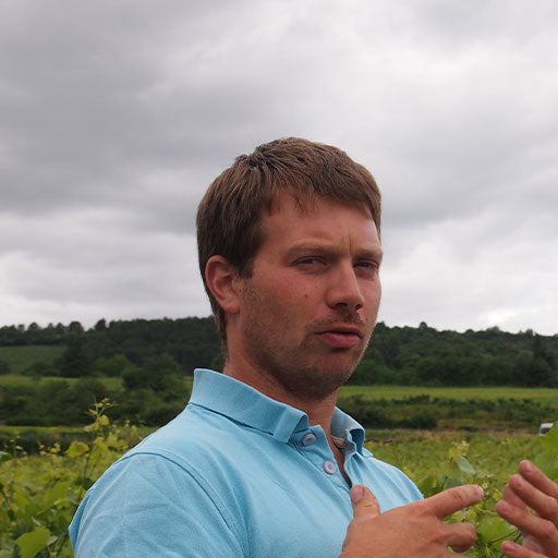 Domaine Bernard Millot – Cave de Lucas